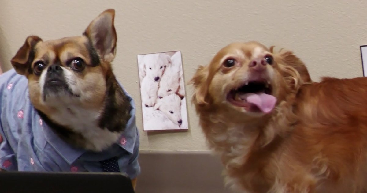 Your Right to Union Representation | AFT-Oregon